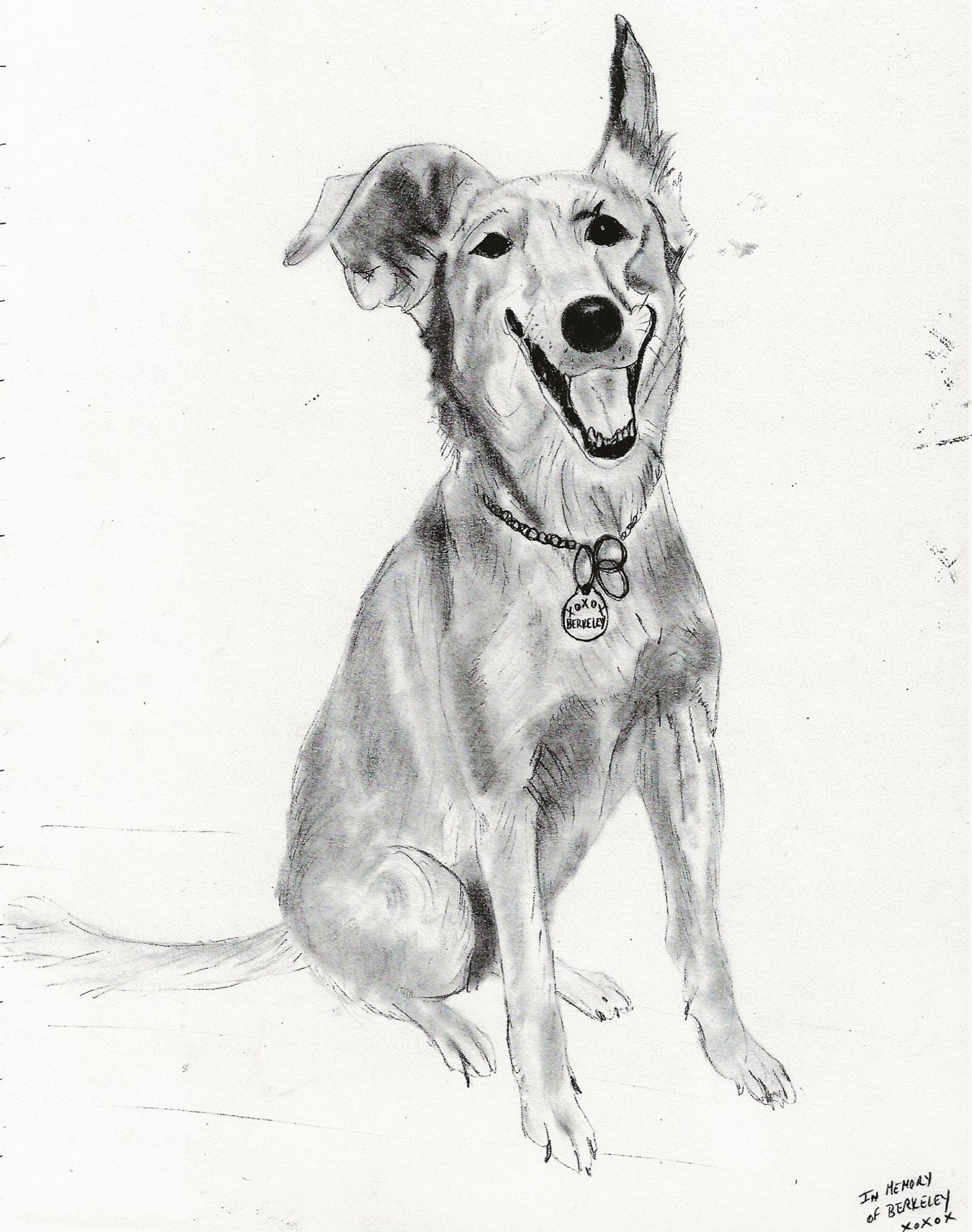 Berkeley - Pencil, in Drawings